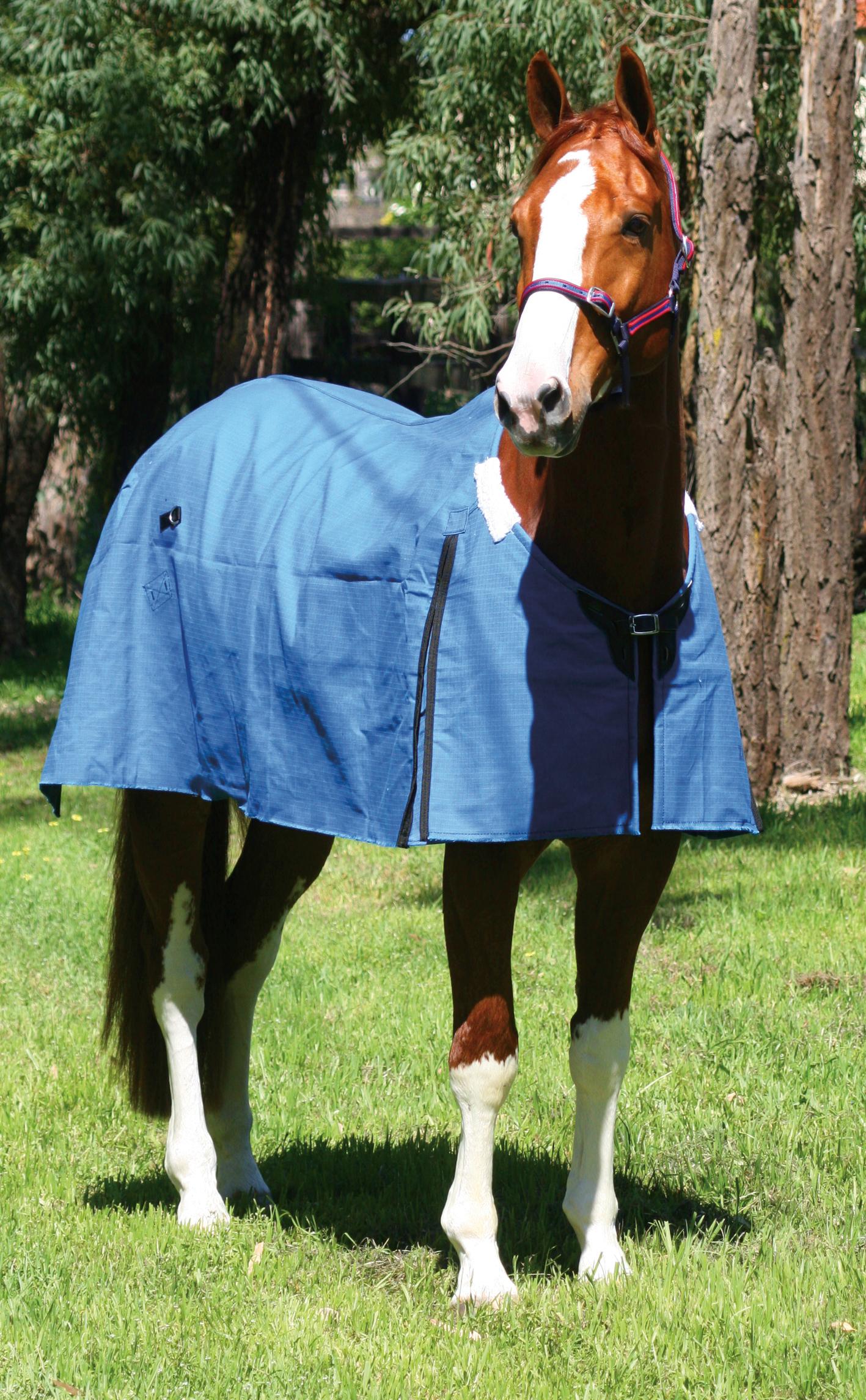 Horse Rugs -Zilco Rip Protector Canvas Rug | Animalcare Supplies