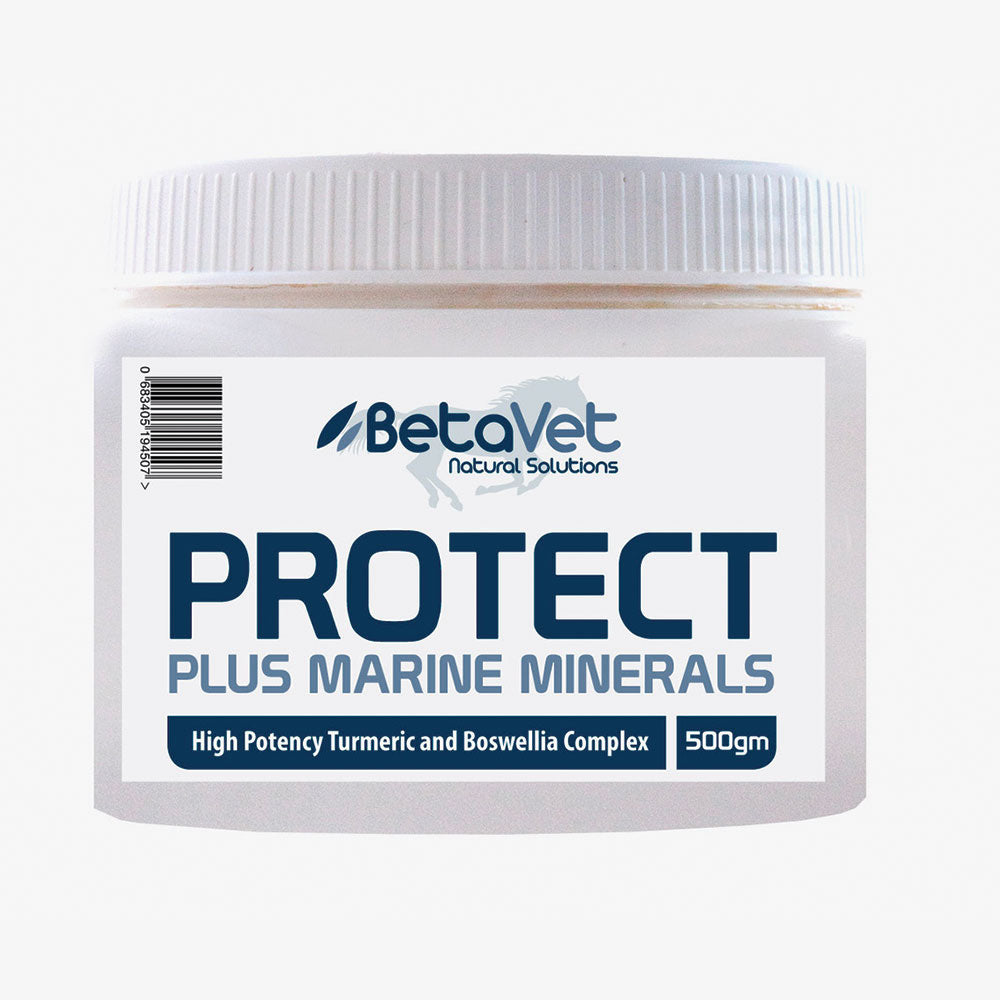 Betvet Protect | Animalcare Supplies
