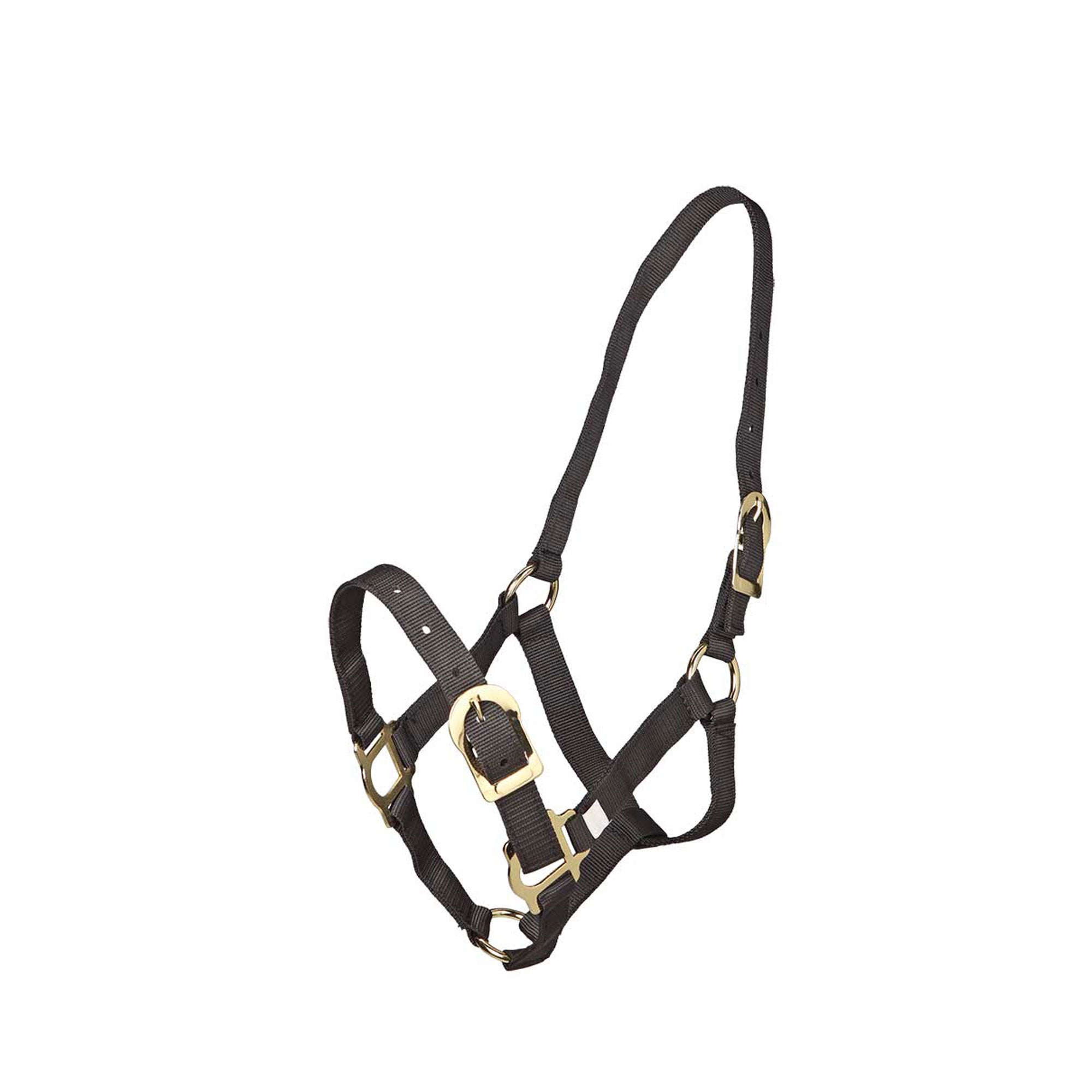 Zilco PP Halter Full Size Black | Animalcare Supplies